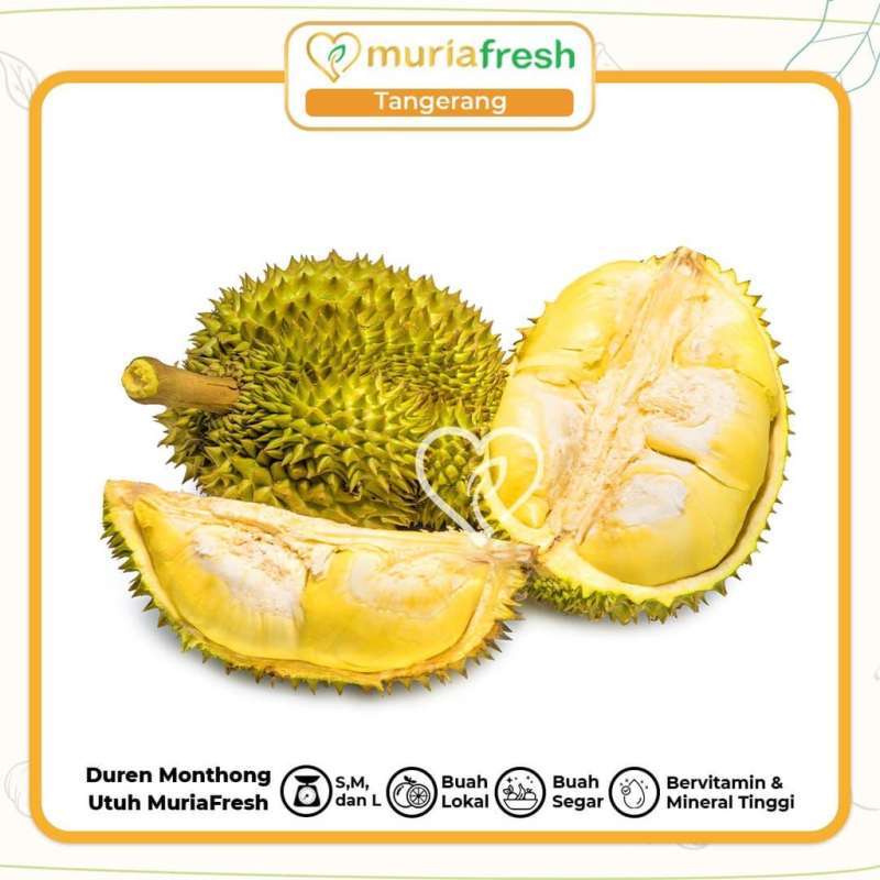Jual Duren Montong Kenji Buahan | Durian Monthong - LARGE 3kg - 3,5kg di Seller Saheela Store ...
