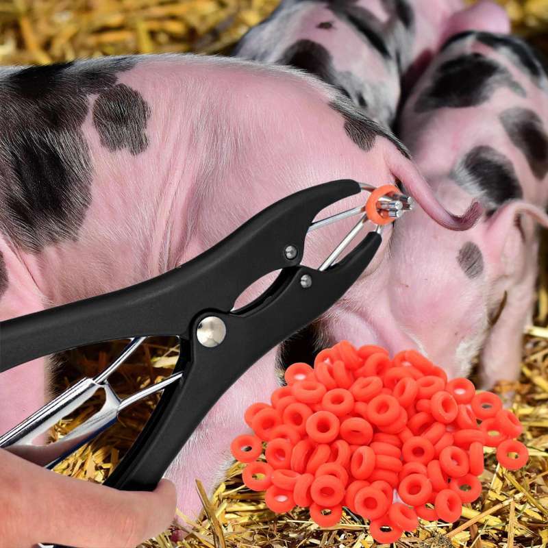 Promo Castration Plier, Castration Device Livestock Castration Bander for Piglets , With 100pcs ...