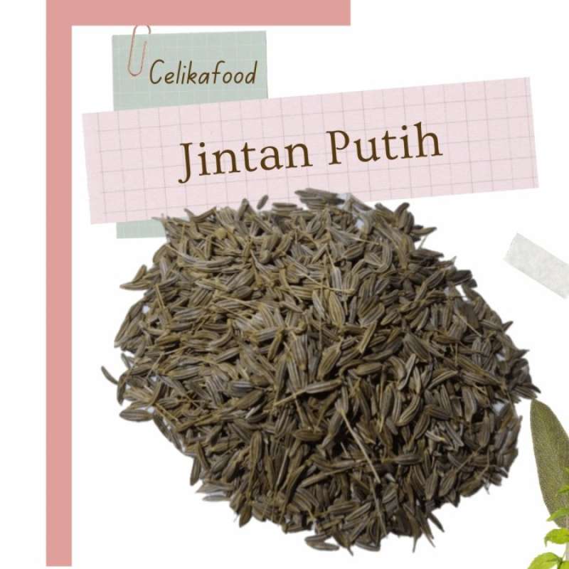 Jual Jinten Putih 10 gr Biji Jintan Cumin Bumbu Rempah Fresh di Seller ...