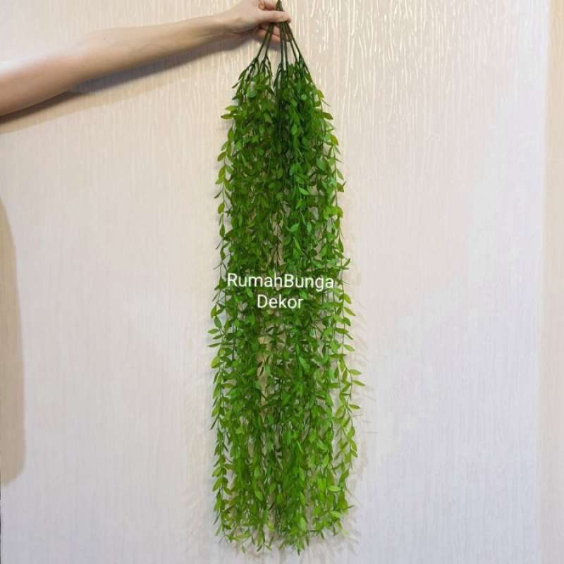 Promo Daun Lee Kwan Yew / Daun Lee Kwan Yu Artificial Diskon 5% di ...