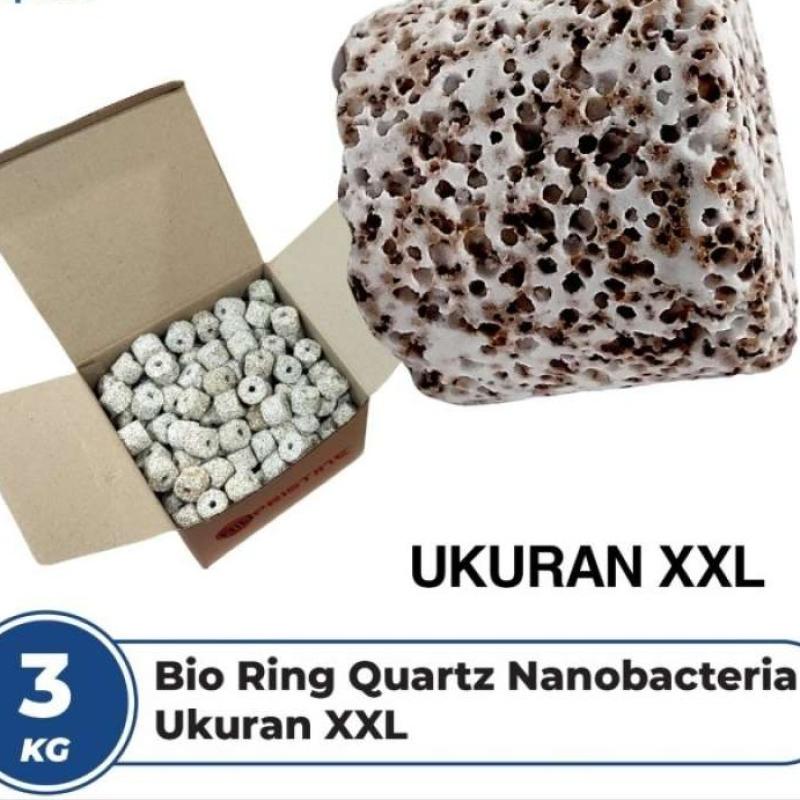 Promo Free Ongkir Bio Ring Quartz Nanobacteria Ukuran Xxl Rumah Bakteri ...