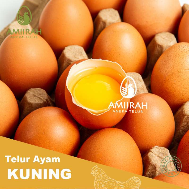 Promo Telur Ayam Negeri 1 kg Fresh isi (15-17 Butir) Halal Diskon 20% ...