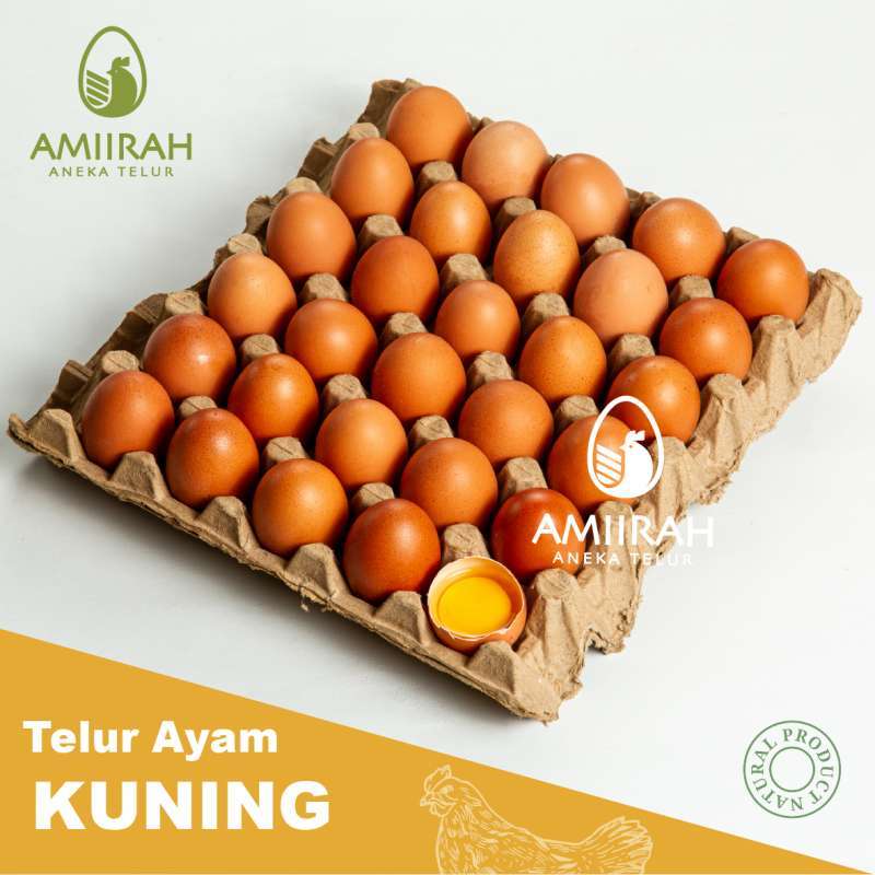 Promo Telur Ayam Negeri 1 kg Fresh isi (15-17 Butir) Halal Diskon 20% ...