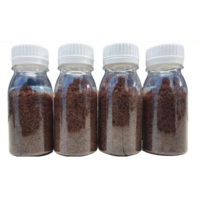 Jual Cacing Sutera Kering Sutra Tubifex Pakan Ikan Hias Embryo Di ...