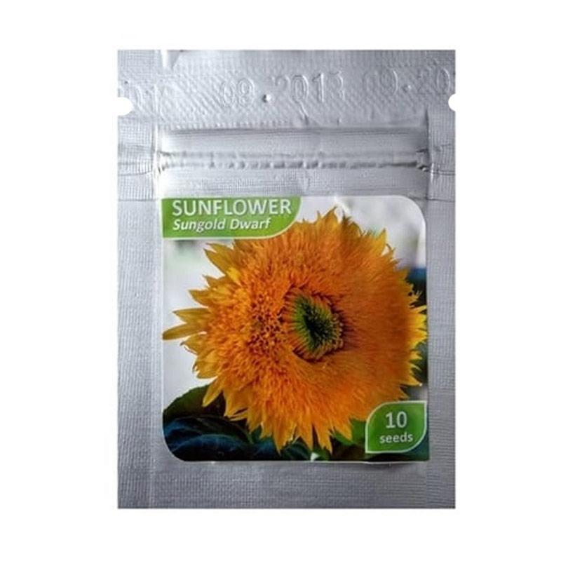 Bunga Matahari Teddy Bear : Jual Ekslusif Benih Bibit Bunga Matahari ...