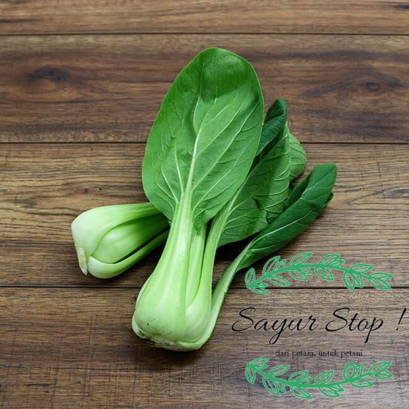 Jual Sayur Stop Pak Choy Bak Choi [250g] Halal di Seller Sayur Stop ...