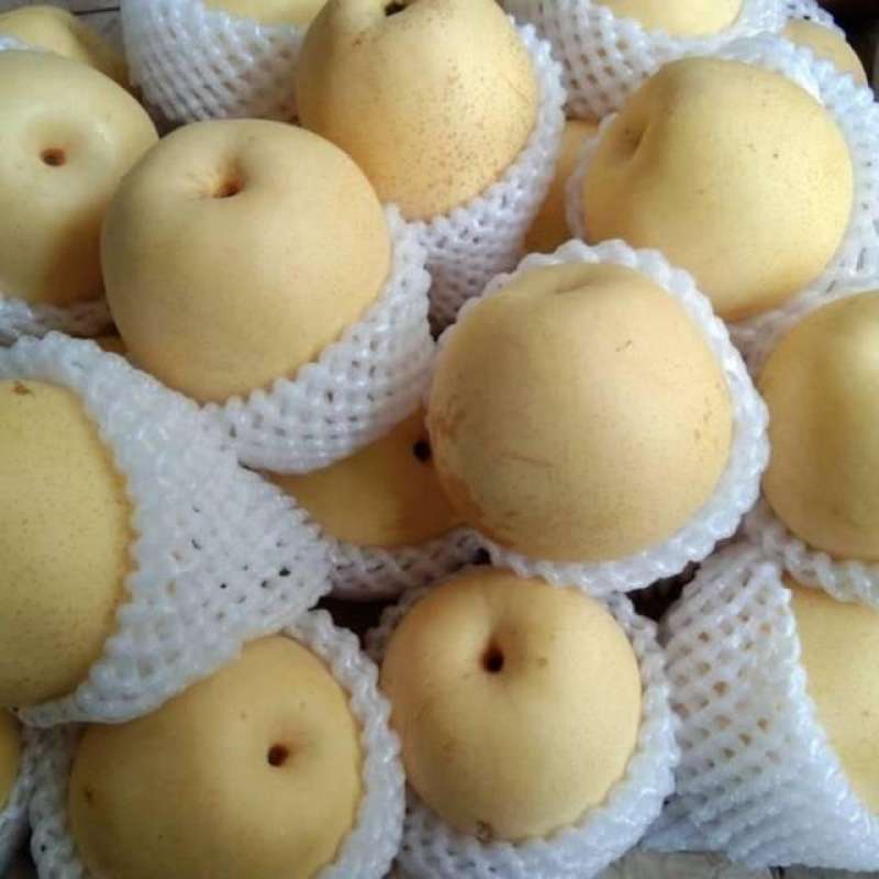 Jual Buah Pear / Pir Century - 500gr Di Seller Aeesha Sayur - Paledang ...