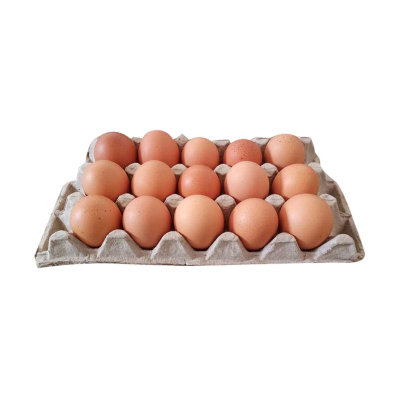 Jual Sajira Farm Telur Ayam Negeri Curah [15 Butir] Halal Di Seller ...