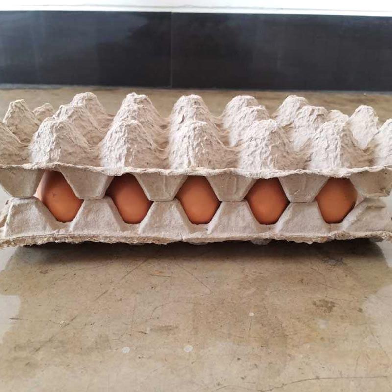 Jual Sajira Farm Telur Ayam Negeri Curah [15 Butir] Halal Di Seller ...