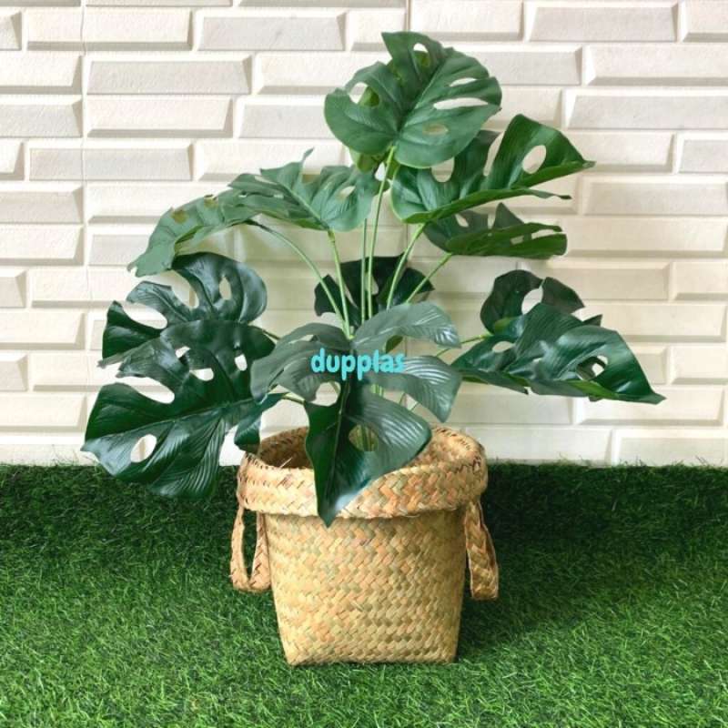 Jual Pohon Plastik Daun Monstera X12 Semi Latex Keranjang Anyaman Purun ...