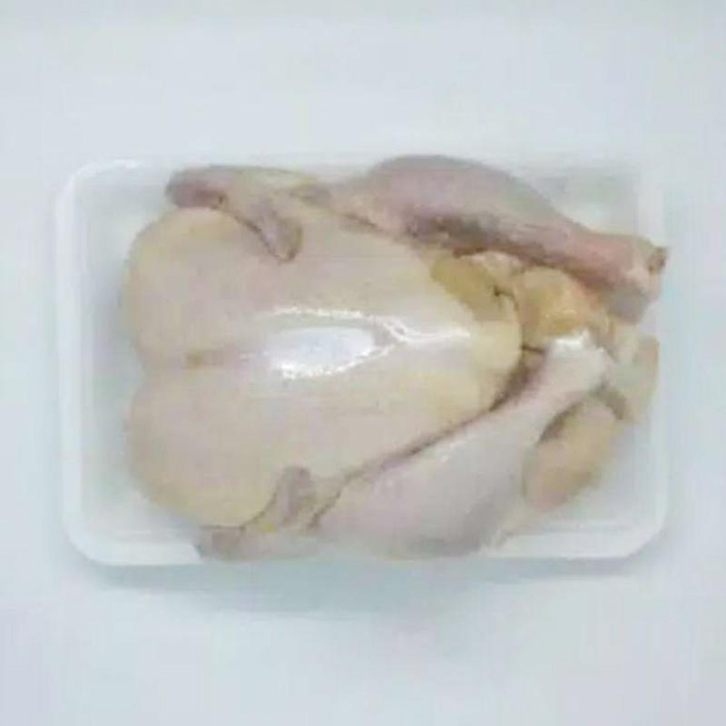 Jual AYAM DUA Fresh Halal Ayam Broiler Potong [1 Ekor/ 1 Kg] di Seller ...