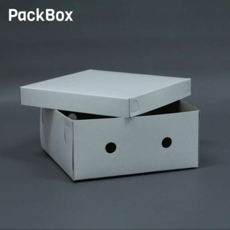 Promo Kotak Nasi Box Makanan Putih Uk.18X18 Cm 350Gr - Multicolor ...