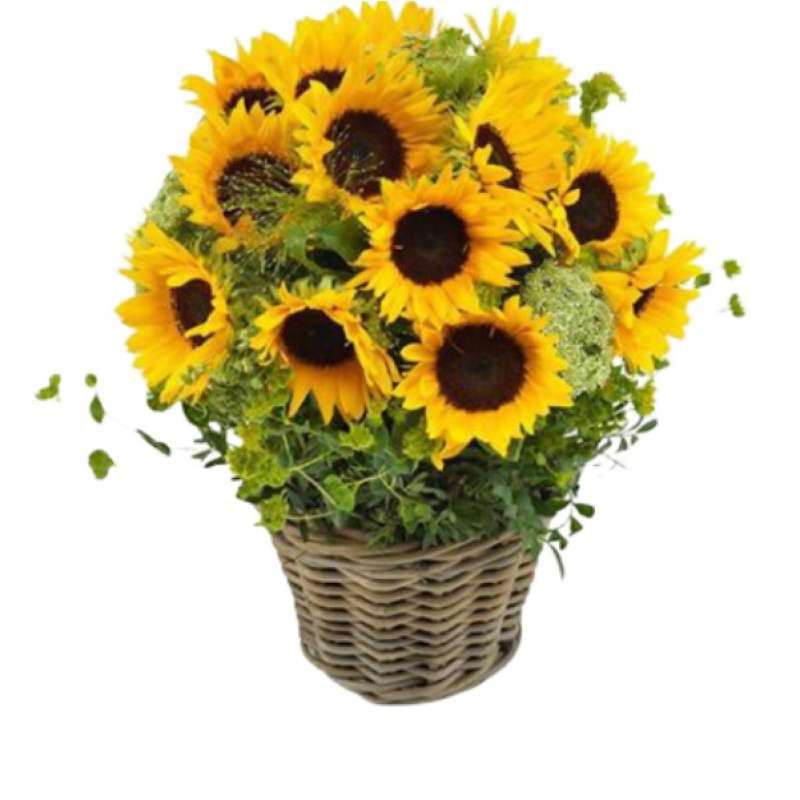 Jual Table Flower 119 Bunga Meja Bunga Cantik Bunga Fresh Bunga