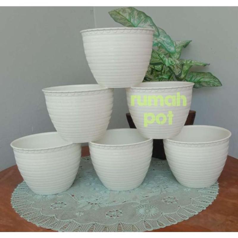 Jual POT PLASTIK TAWON 15CM PUTIH di Seller KHAIRINPOT - Banyuanyar ...