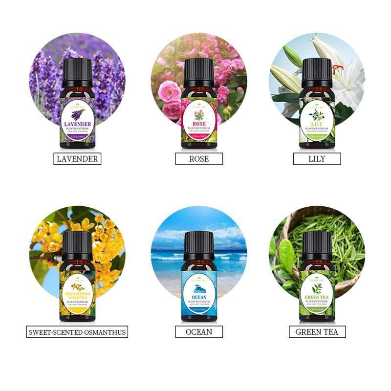 Promo Aromatherapy Essential Oil Minyak Diffuser | Minyak Esensial ...