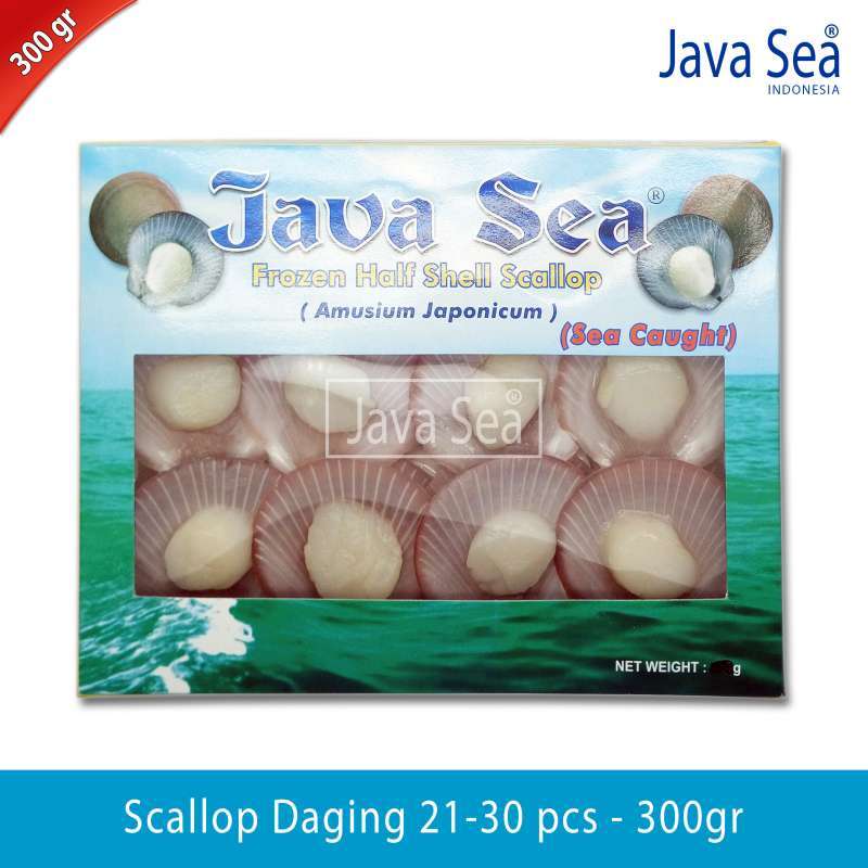 Jual JAVA SEA Scallop Cangkang Daging 21-30 pcs per pack 300gr di ...