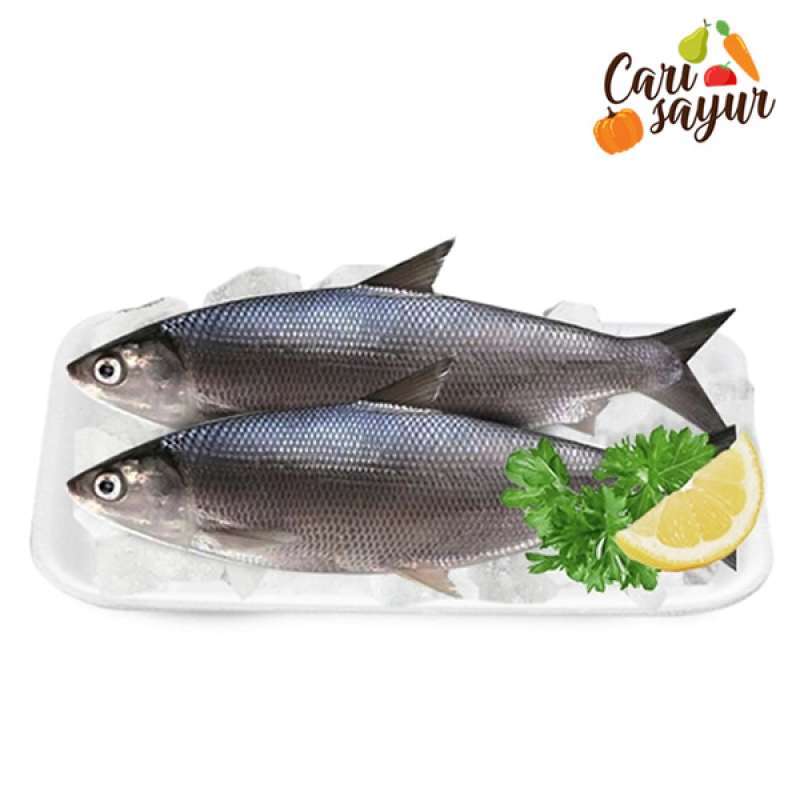 Jual CARI SAYUR - Ikan Bandeng Frozen [1 pack] di Seller Cari Sayur ...
