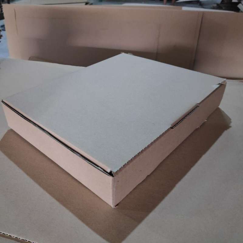 Jual kardus box packing polos, kotak pizza 30x30x7cm di Seller Nusa ...