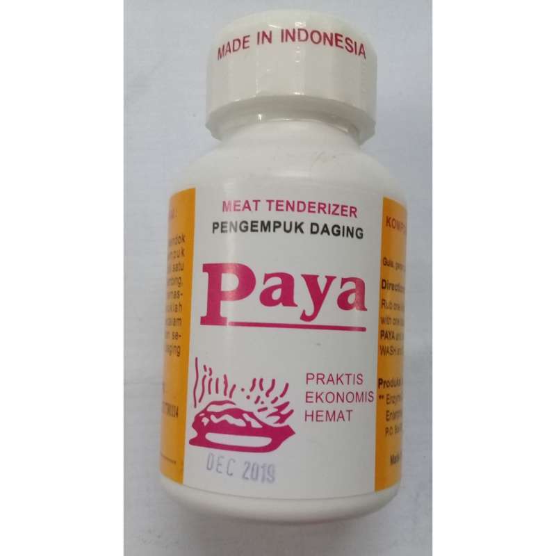 Jual Paya Pengempuk Daging 70 Gr Di Seller Grosir88 - Pasar Minggu ...