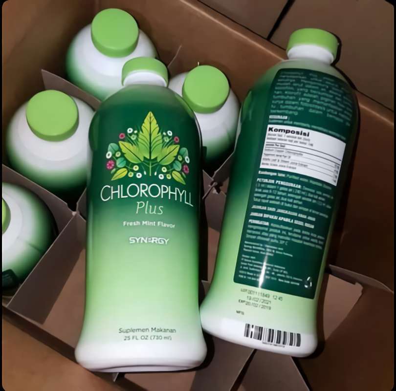 Jual Synergy Liquid Chlorophyll Plus Di Seller Si Cantik Alami ...