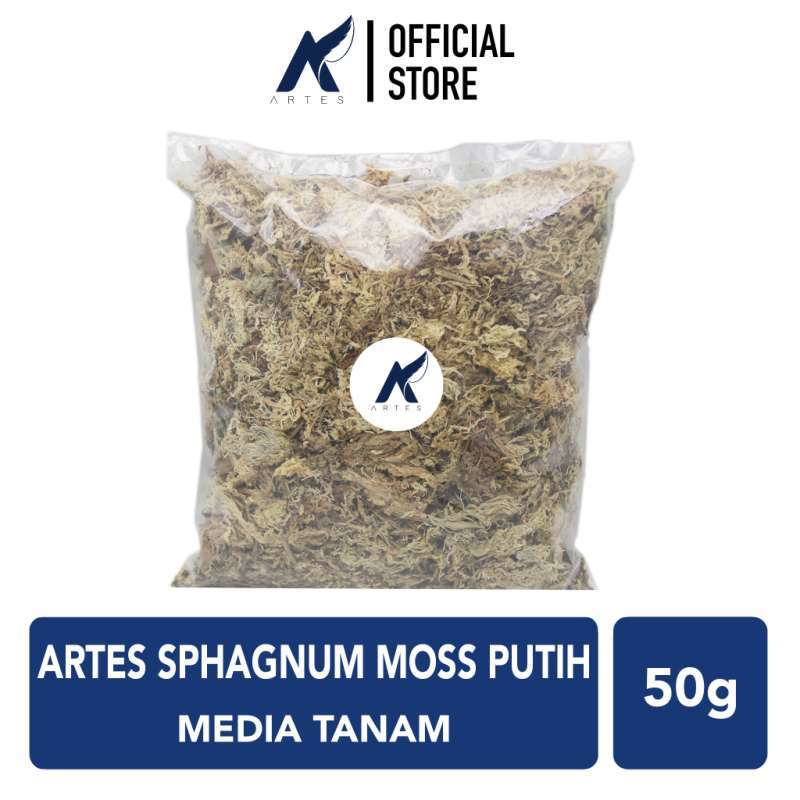 Jual Artes Sphagnum Moss Putih Media Tanam Lumut-spagnum Mos Anggrek ...