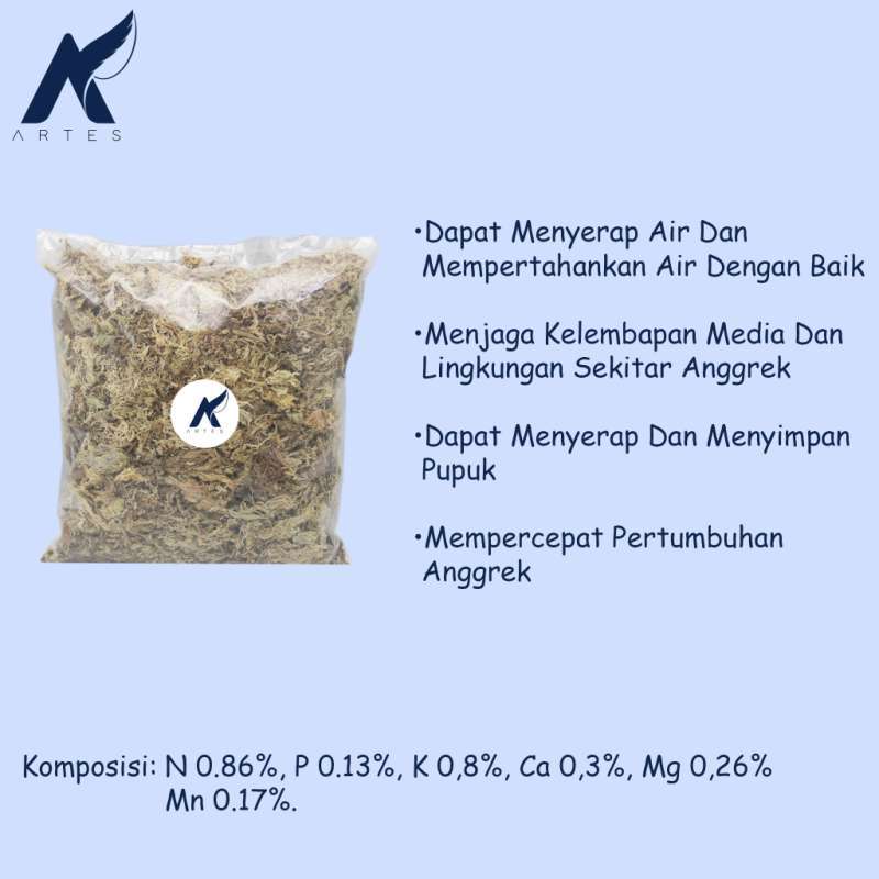 Jual Artes Sphagnum Moss Putih Media Tanam Lumut-spagnum Mos Anggrek ...