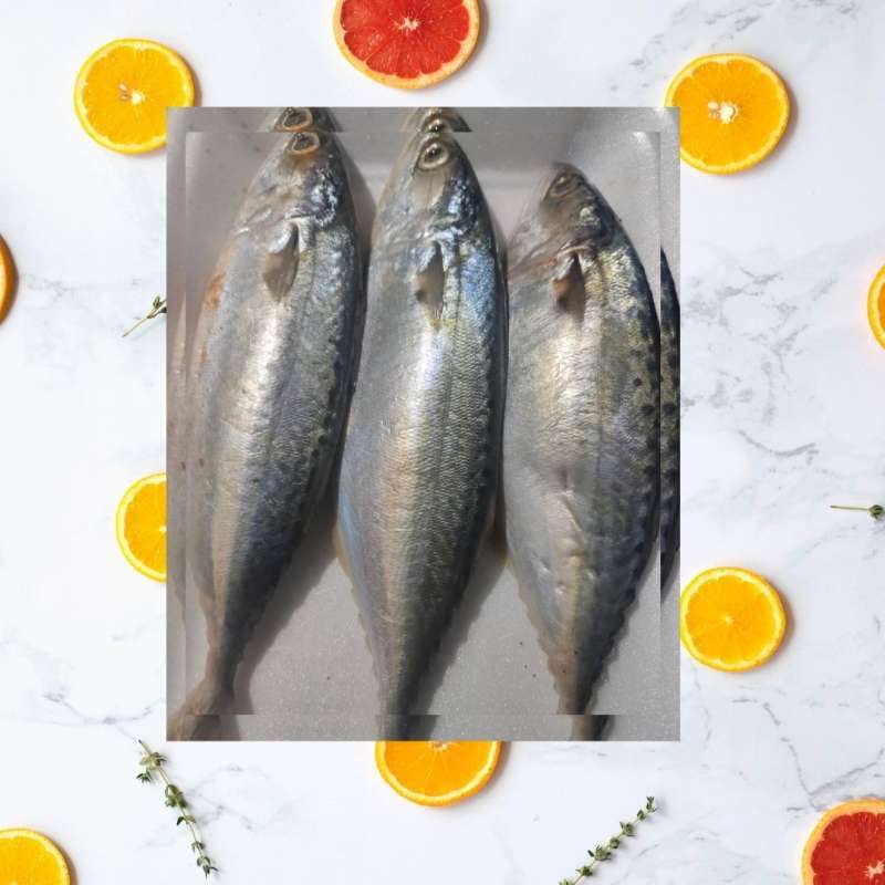 Jual Ikan Kembung Banjar 1 Kg Halal Di Seller Ikantukang15 - Jatipulo ...