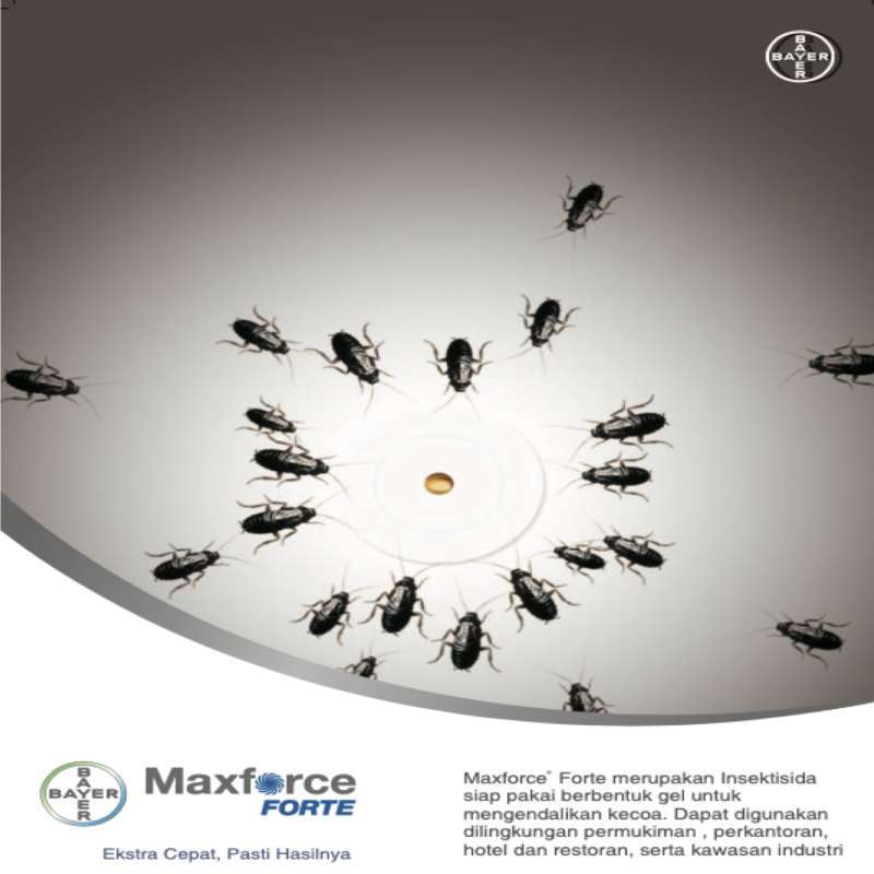Jual Maxforce Forte - Gel Pembasmi Kecoa - Bayer - Basmi Kecoa Cepat ...