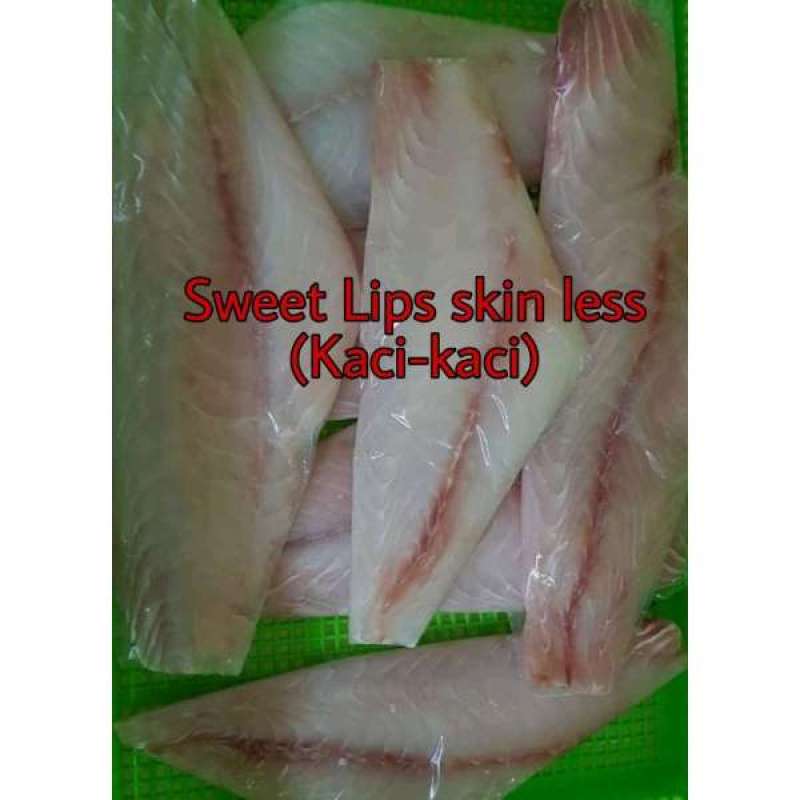 Jual Ikan Kaci-kaci /sweetlips Fillet Beku/frozen Halal Di Seller Sm ...