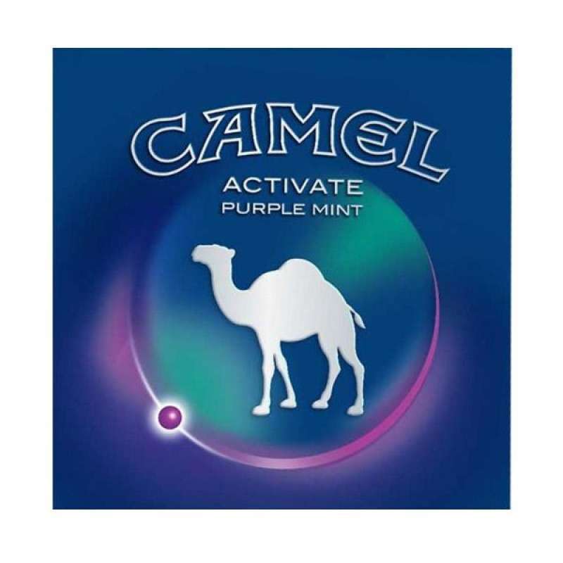 Camel Purple 🔥 Harga Grosir Mei 2026