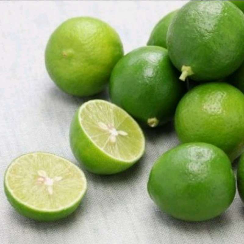 Jual Jeruk Nipis Asli 1 kg di Seller Faith Fresh - Kota Medan, Sumatera ...