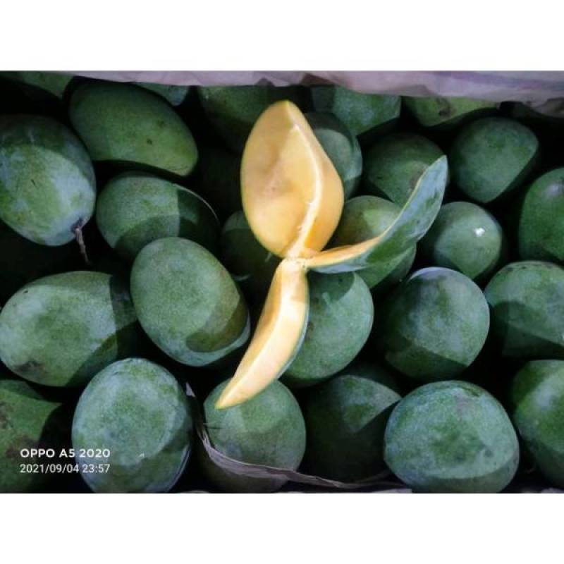 Jual Mangga Manalagi Manis 1kg|Buah Segar|Buah Bandung Halal di Seller ...