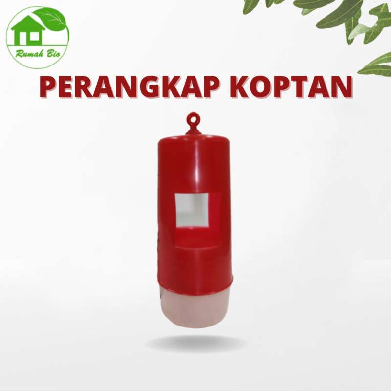 Promo KOPTAN - Perangkap Efektif Mengatasi Hama Penggerek Buah Kopi ...