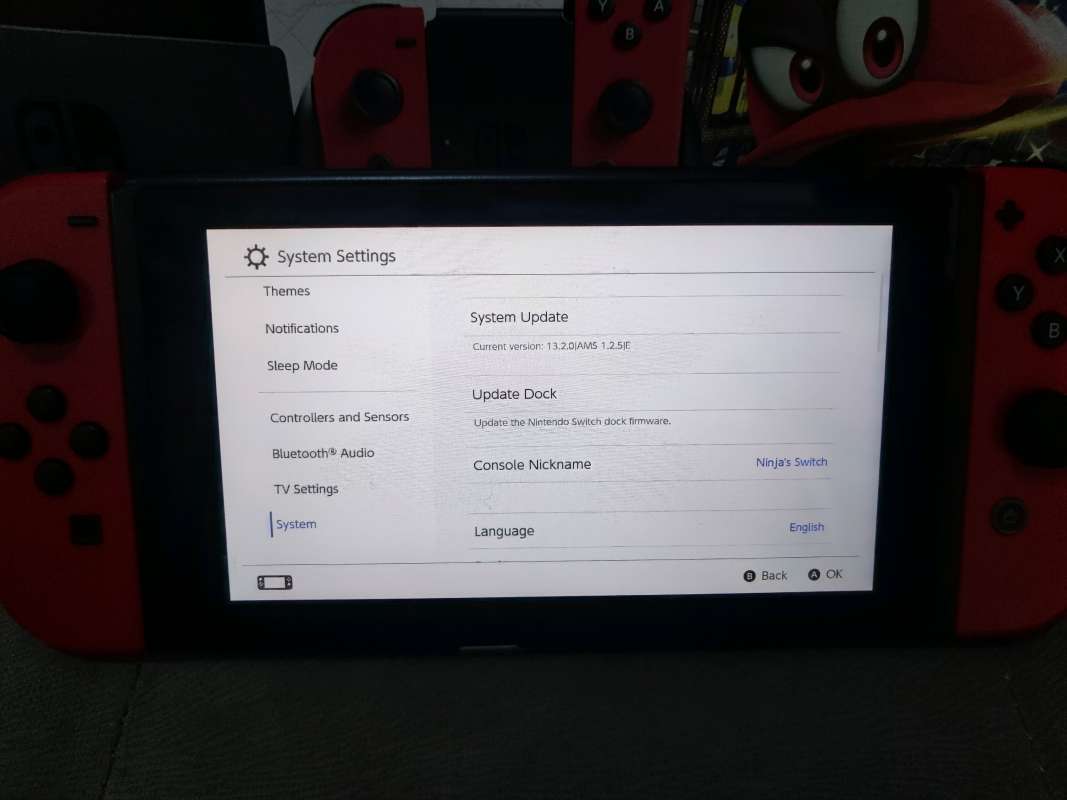 Jual Nintendo Switch Cfw Dual Os (cfw Emunand Dan Android Lineage ...
