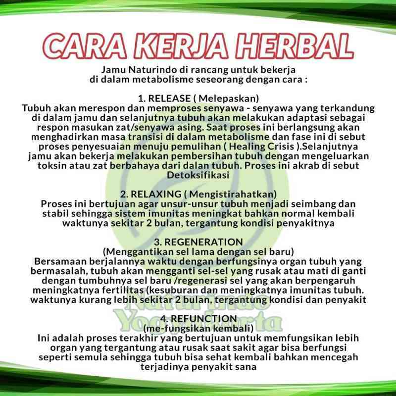 Jual Obat Herbal Penambah Menjaga Daya Tahan Tubuh Menaikkan Imunitas ...