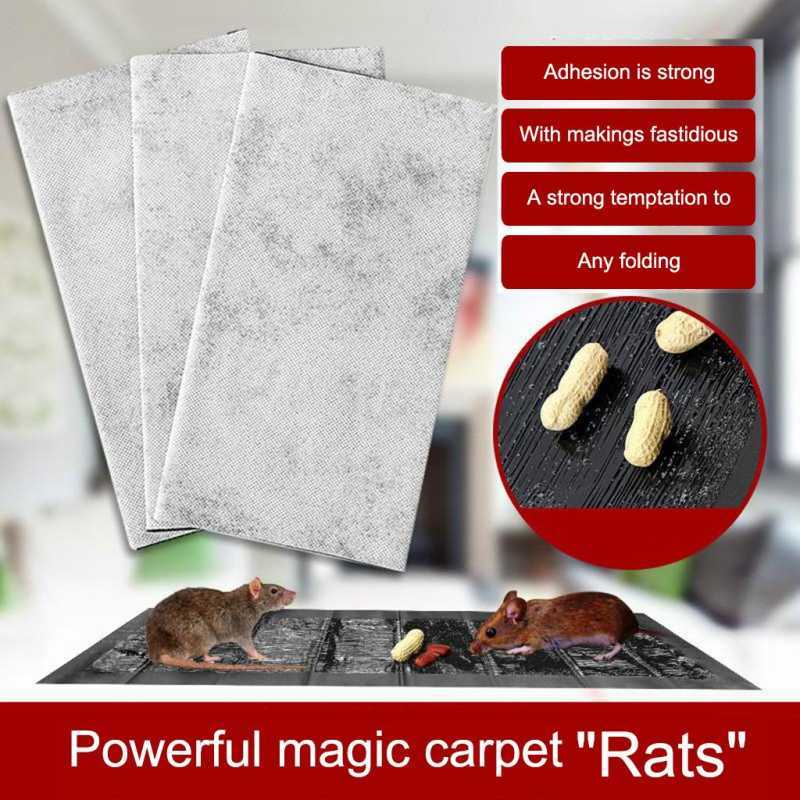 Jual Rat Trap Snare Mouse Glue Traps Mice Rodent Sticky Boards Catcher ...