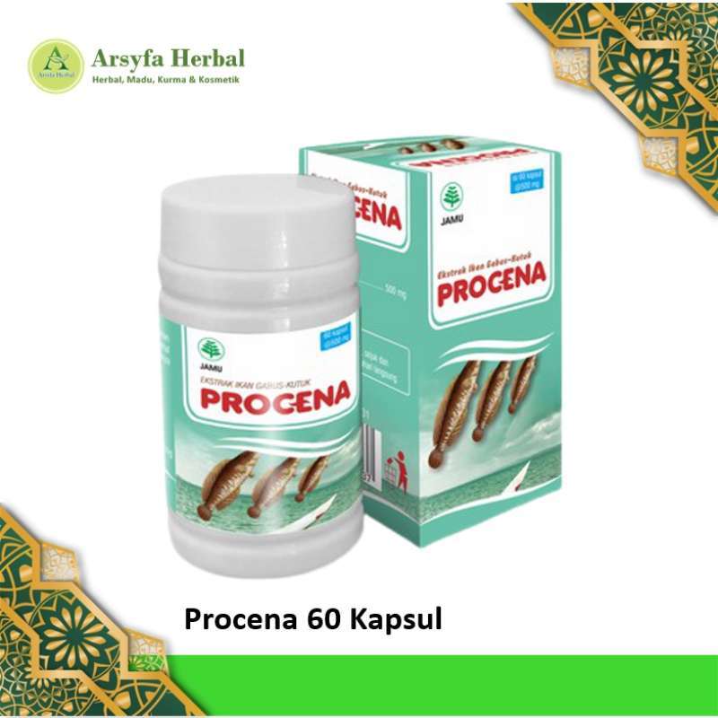 Jual PROCENA ISI 60 KAPSUL, SARI IKAN GABUS, KAPSUL KUTUK ASLI, KAPSUL ...