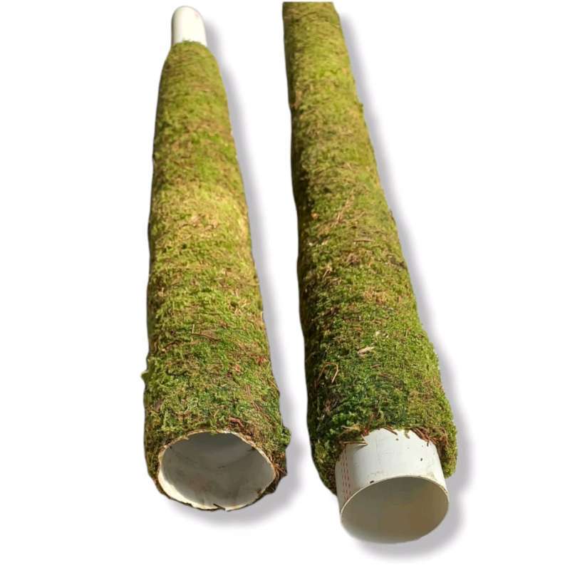 Jual Turus Lumut Jumbo 2 meter Bisa Disambung | Turus Moss Jumbo ...