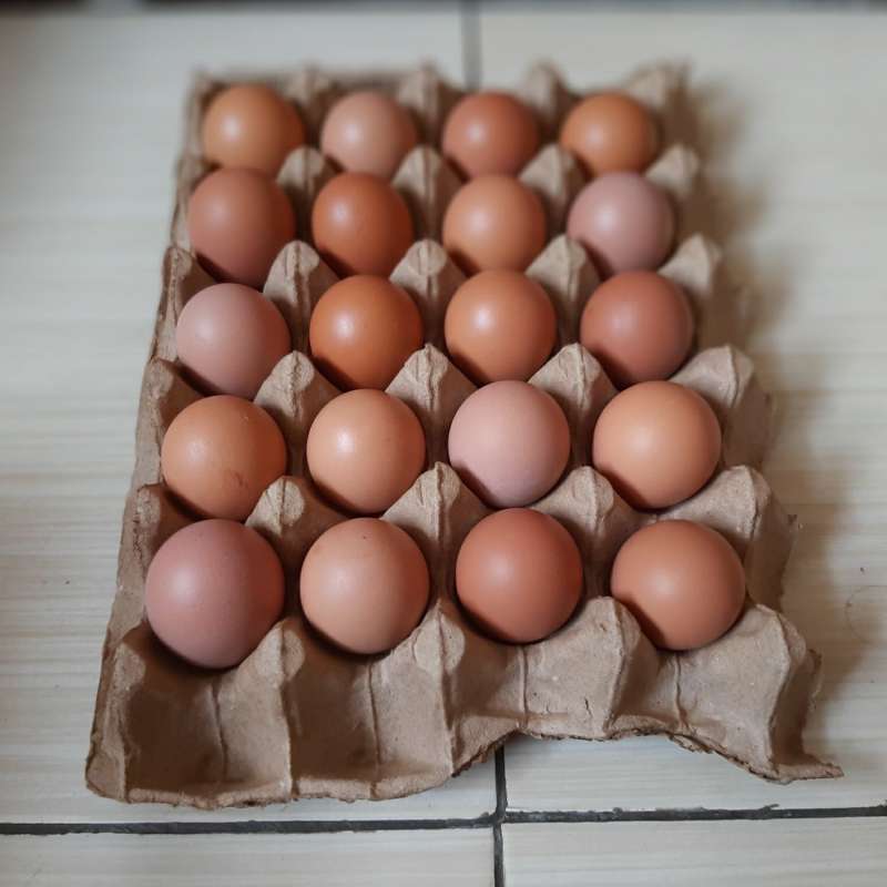 Jual telur/telor/telur ayam/telur ayam negeri 1kg/telur ayam fresh ...