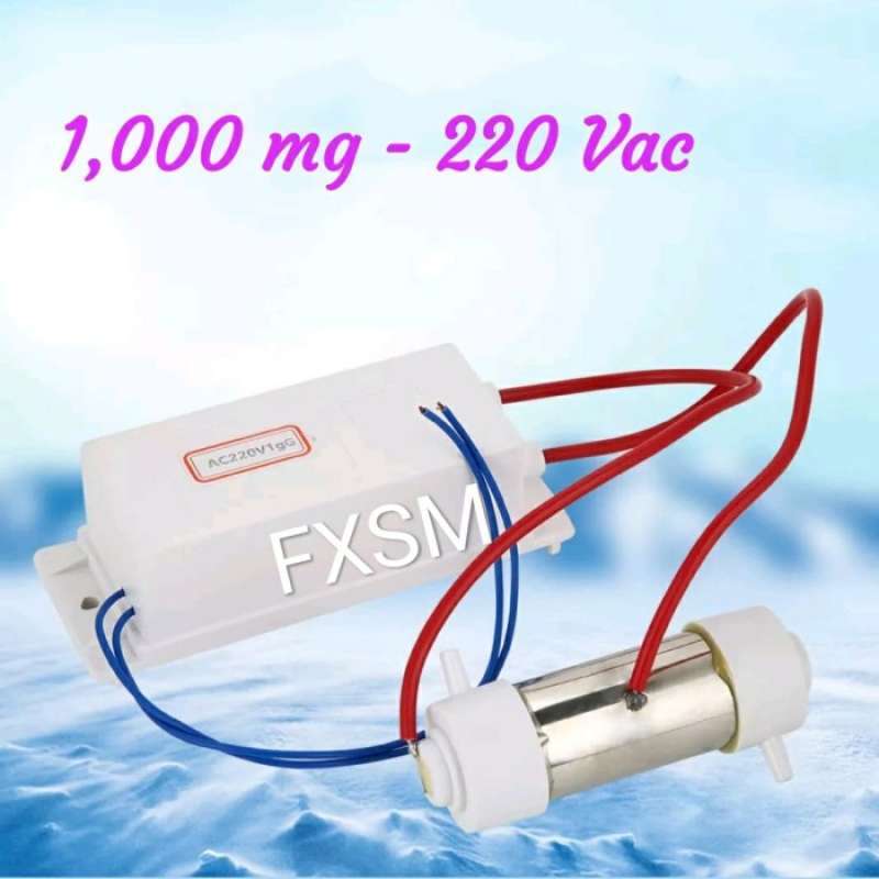 Promo 1,000 MG/H OZONE GENERATOR IONIZER WATER PURIFIER STERILIZER Diskon 6% di Seller Dhore ...