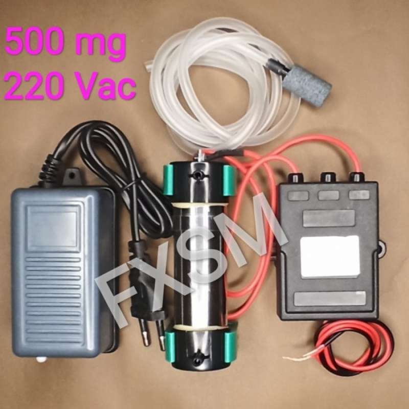 Jual 500 MG/H OZONE GENERATOR IONIZER WATER PURIFIER STERILIZER di Seller Dhore Online ...