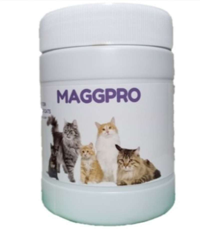 Jual Magpro Vitamin Kucing Termurah - Harga Grosir Terupdate Hari Ini ...