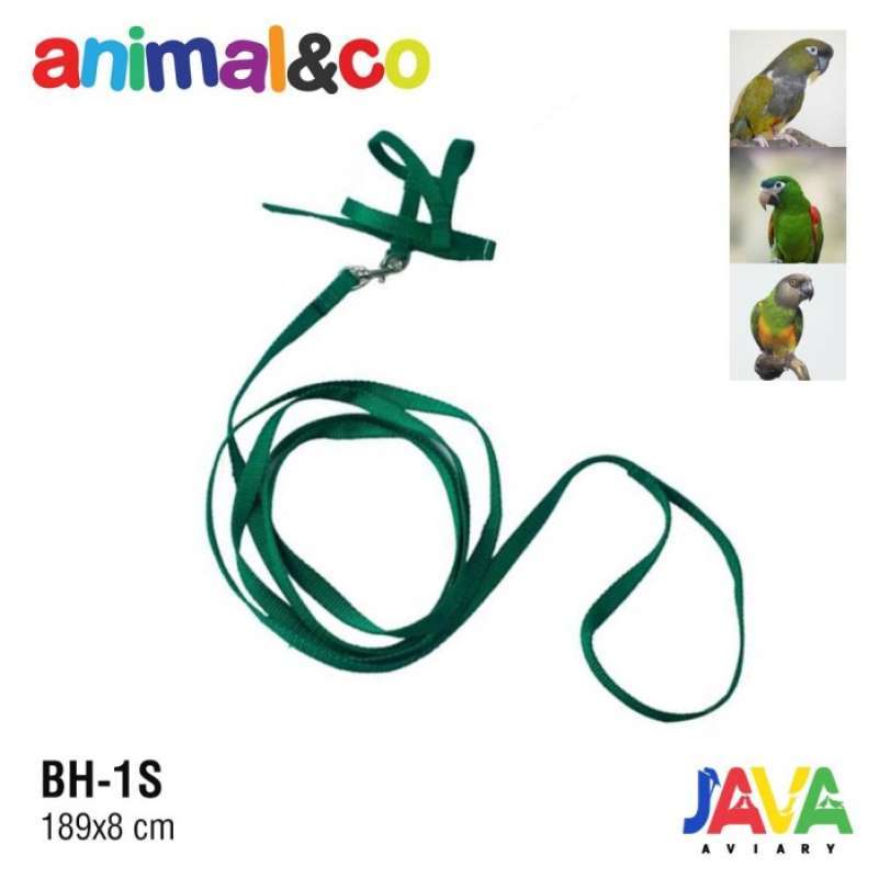 Promo AnimalnCo Harness Burung BH-1S Harness Parrot kecil Conure ...