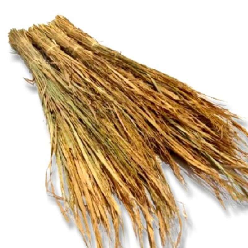 Jual MERANG JERAMI/MERANG DARI POHON PADI/JERAMI PADI di Seller BNS ...