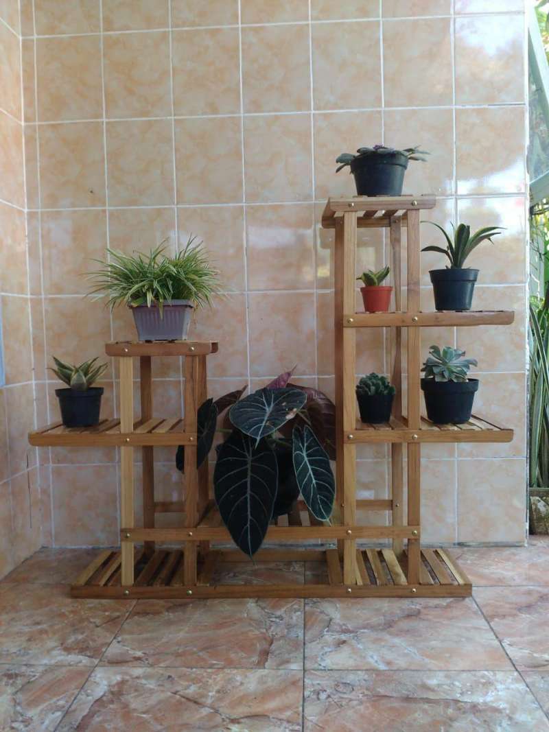 Kumpulan 28+ Rak Tanaman Bunga Dari Kayu Kekinian - Informasi Seputar ...