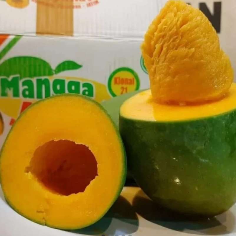 Jual Buah Mangga Alpukat Manis Super 1 kg Halal di Seller Jajanyuk ...