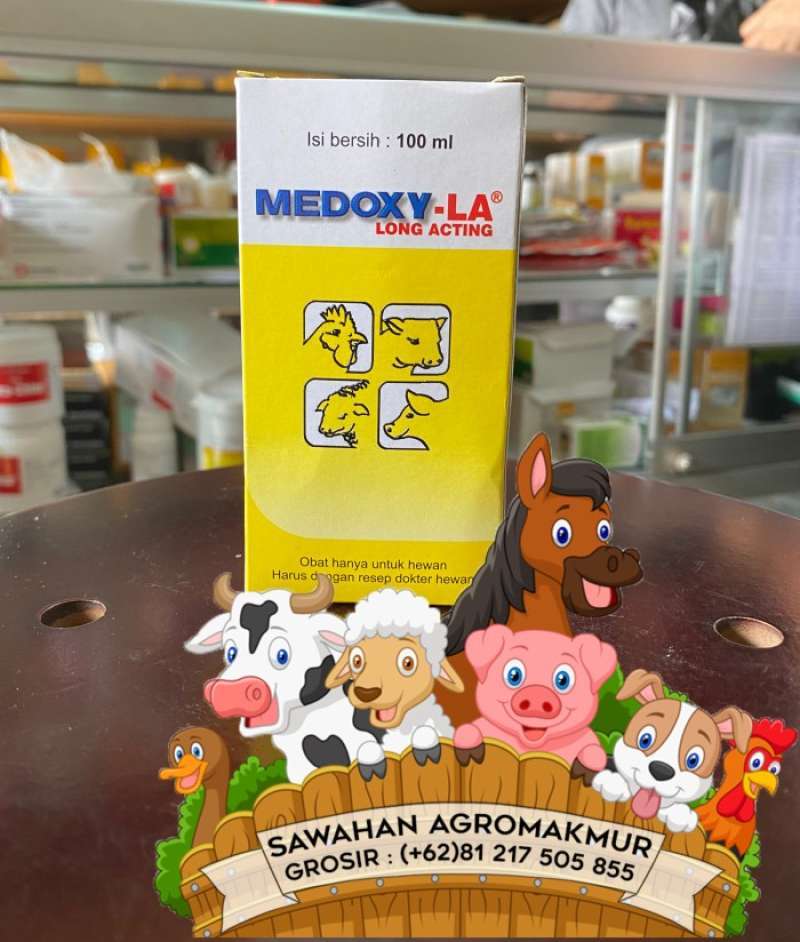 Jual Medoxy La 100 Ml Antibiotik Long Acting Medion 100Ml di Seller ...