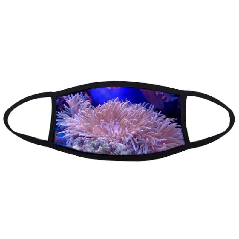 Jual Ocean Coral Science Nature Picture Head Bukti dingin dan topeng ...