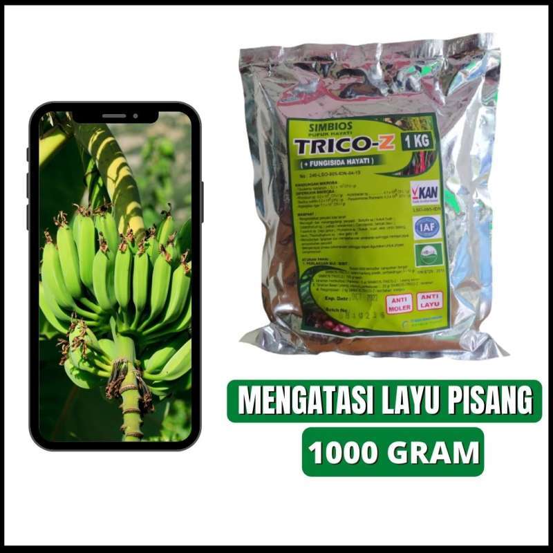 Jual PUPUK pohon pisang TRICO Z, Nutrisi tanaman pisang anti layu fusarium di Seller Indonesia ...