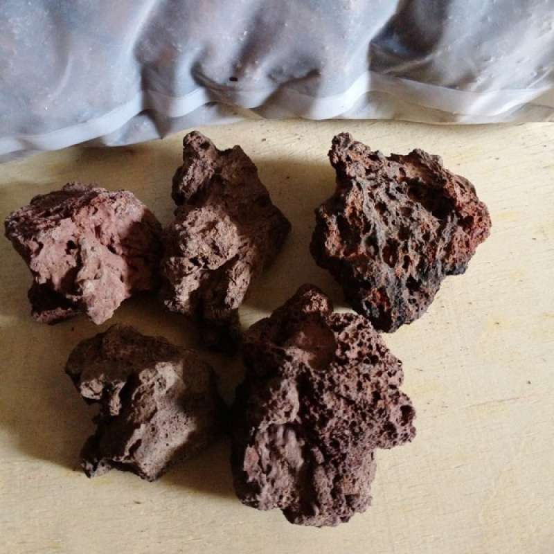 Jual Batu Lava Aquascape Termurah - Harga Grosir Terupdate Hari Ini ...